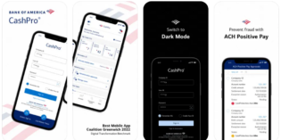 La app CashPro de Bank of America, cerca de rebasar el billón de ...